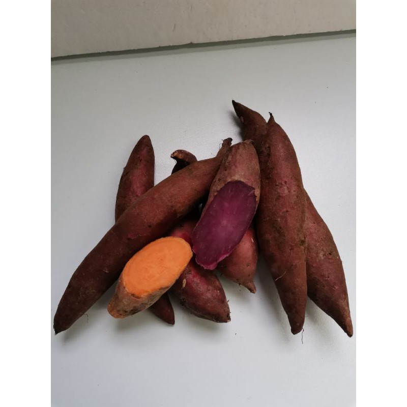 UBI MADU CAMERON HIGHLANDS/CAMERON SWEET POTATOES (+/-1.5kg)(3 COLORS ...
