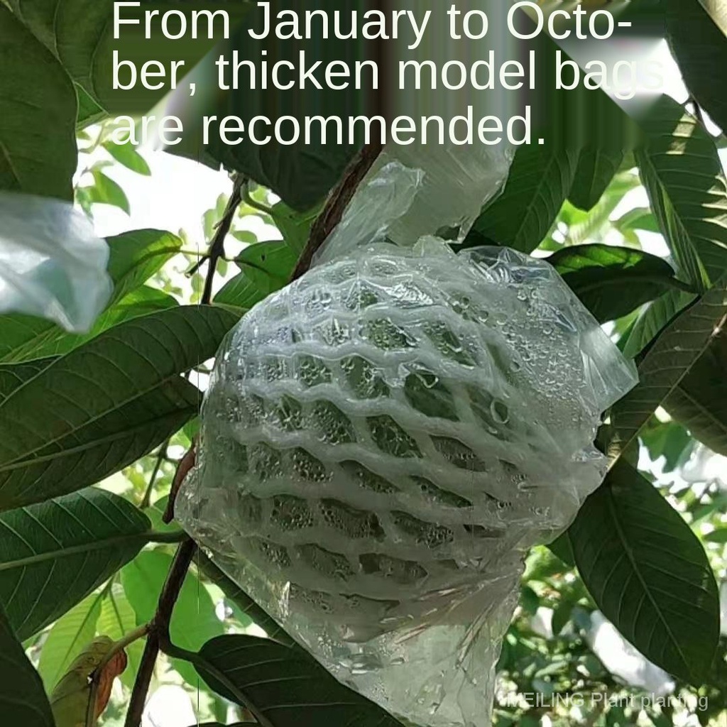 2021For New Material High Quality Fruit Net Cover Guava Guava Bag ...
