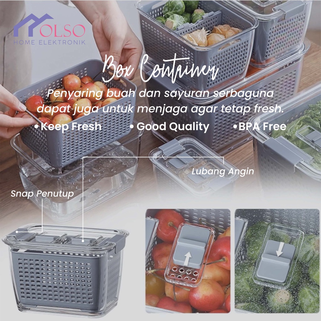 Fruit Vegetable Filter CONTAINER BOX Food Storage CONTAINER BOX ...