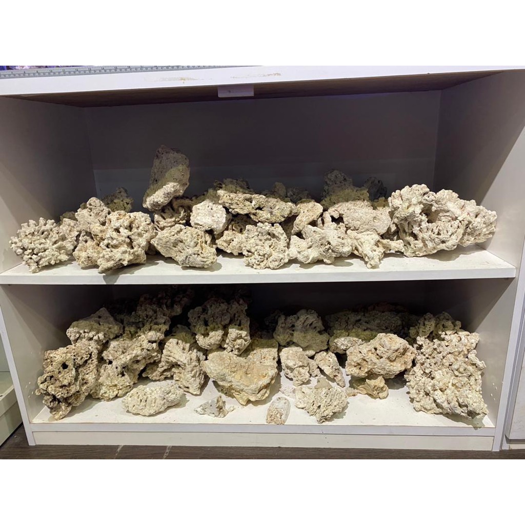 Dry Rock Marine Rock Natural Coral Rock Coral Stone (We will take ...