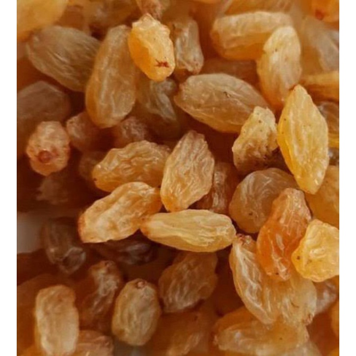 Indian Yellow Raisin \ Yellow raisins 1 kg | Shopee Malaysia