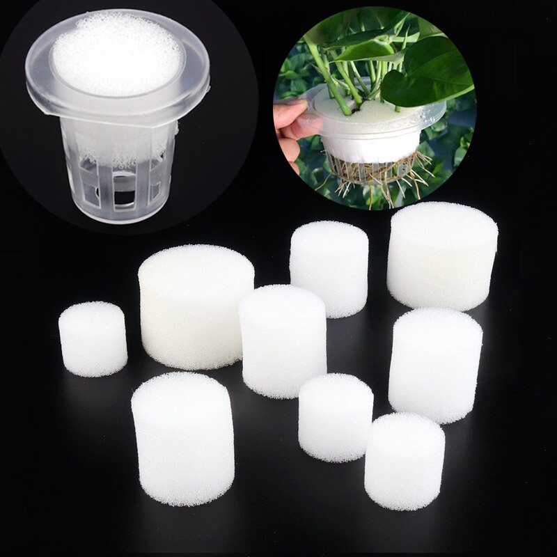 50pcs White Hydroponic Sponge Garden Vegetable Soilless Cultivation ...