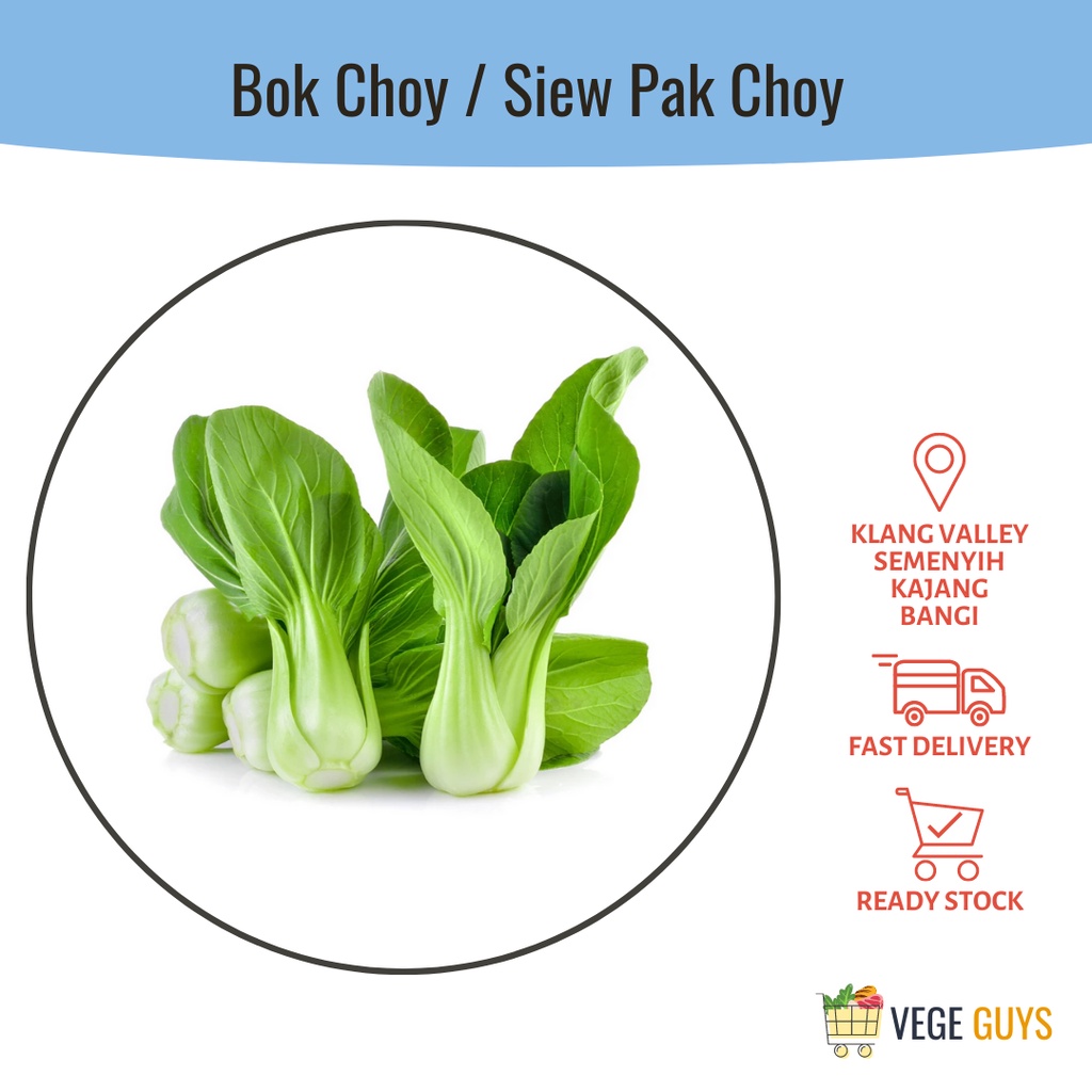 Siew Pak Choy 小白菜 (+/-250g) | Shopee Malaysia
