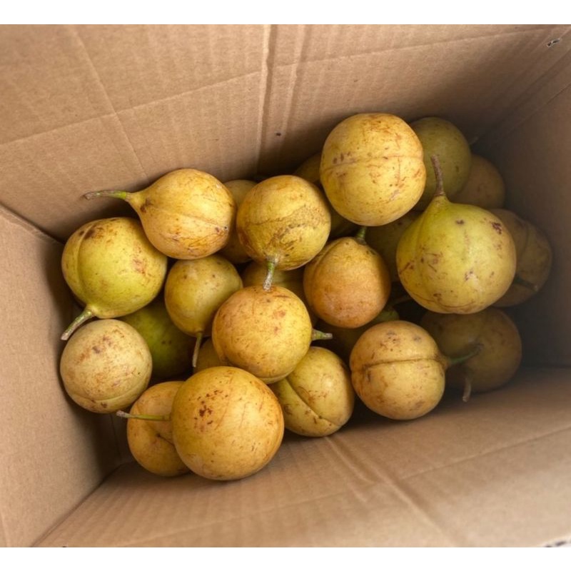1KG BUAH PALA SEGAR - FRESH NUTMEG FRUIT | Shopee Malaysia