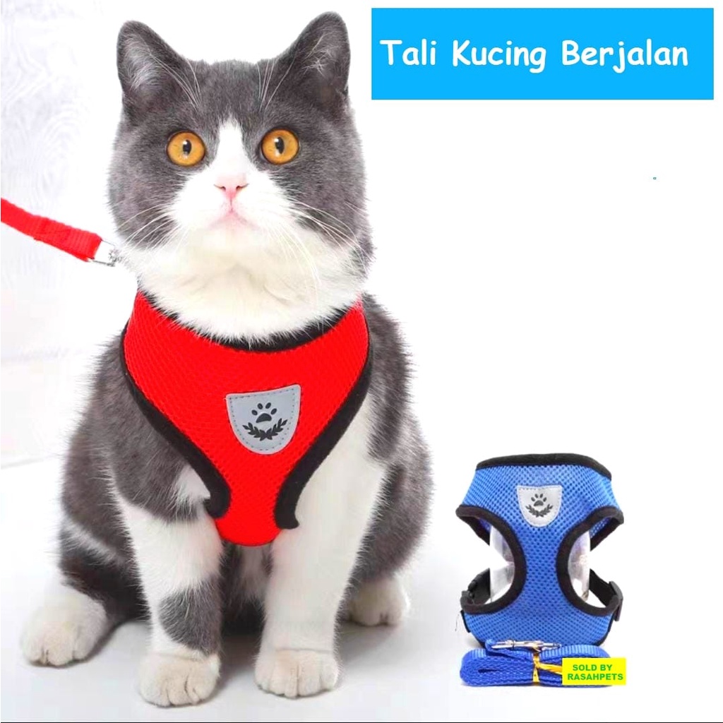 Tali Kucing Berjalan Murah Pet Harness Lead Dog Harness Lead Cat Rope ...