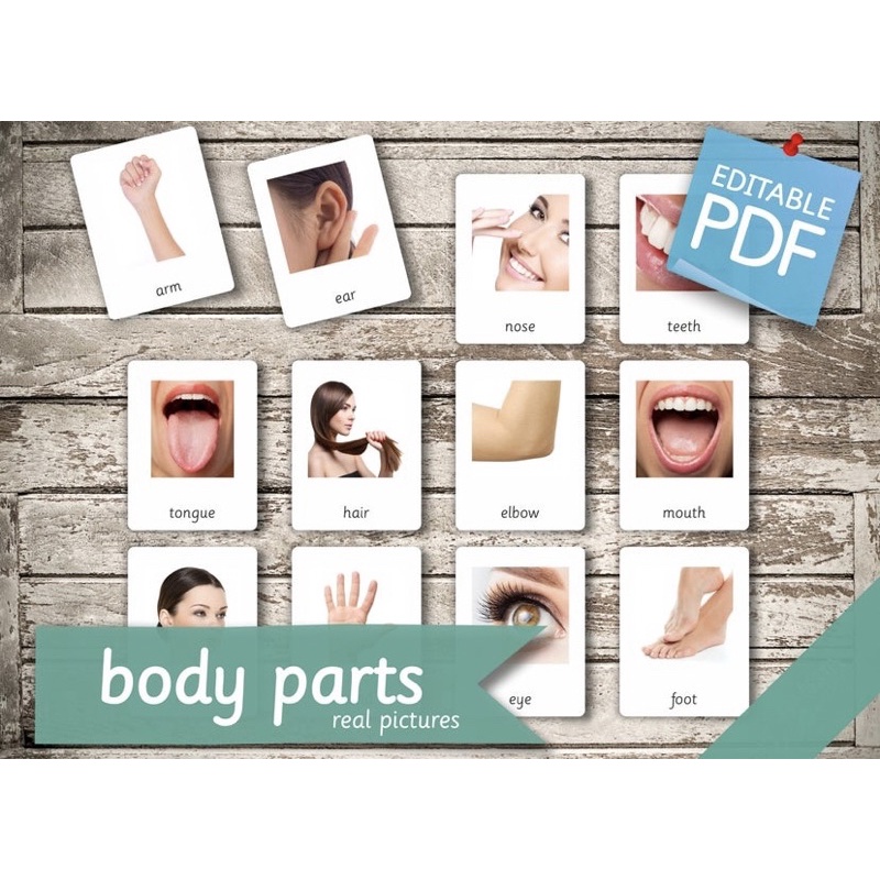 BODY PARTS Montessori Flashcards (real pictures) Printable | Shopee ...