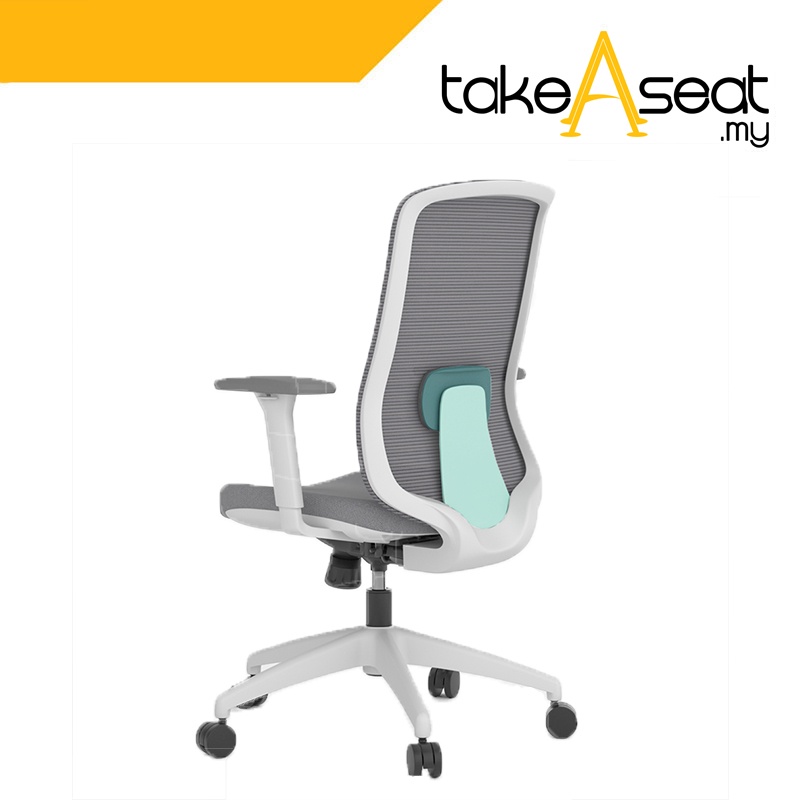 ergoActive ★ LARIS Ergonomic Office Chair (With/ Without Headrest ...