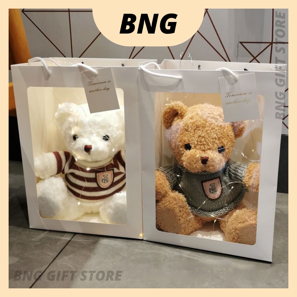 BNG Lovely Soft 30cm Teddy Bear Plush Toy Stuffed Led Light Paper Beg ...