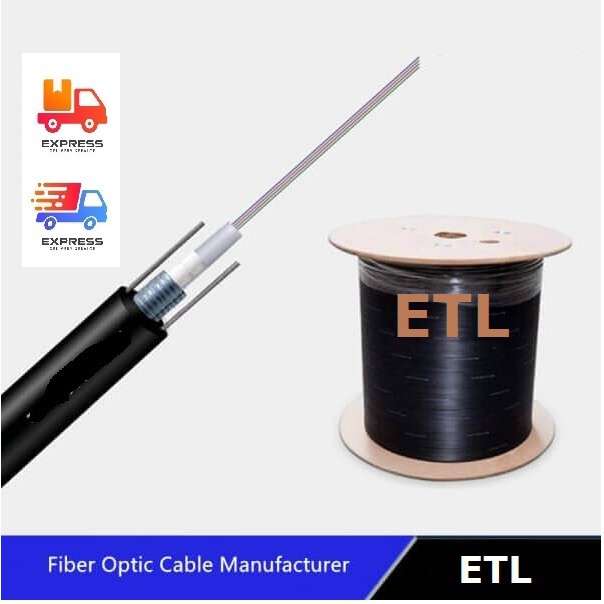 OUTDOOR 12 CORE FIBER OPTIC SINGLE MODE ARMOURED CABLE | Shopee Malaysia