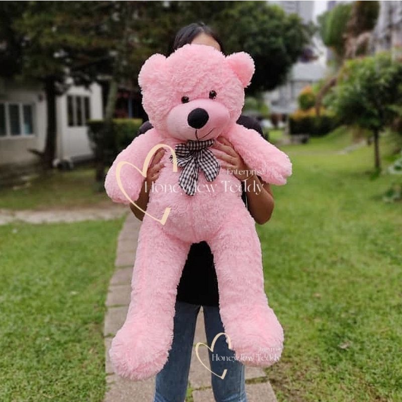[STOCK in KL] 60/80cm Teddy Bear Teddy Bear Besar Murah Plushie Soft ...