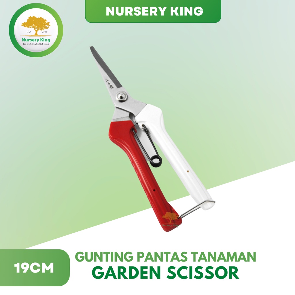 Garden Tools Scissor Cutter Gunting Pokok Pruning Shear Grafting for ...