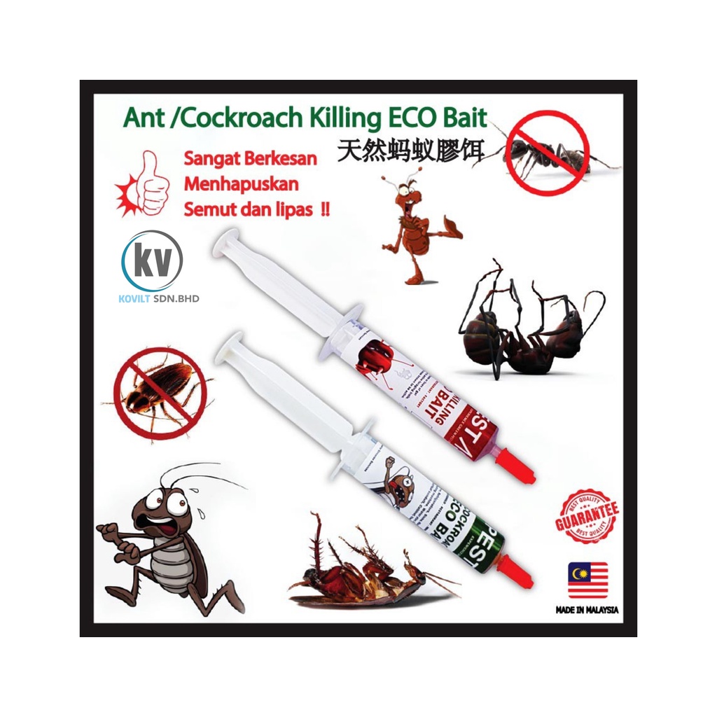 Ants & Cockroach Eliminator Gel (PEST ASIA ECO BAIT) Ubat Lipas & Semut ...