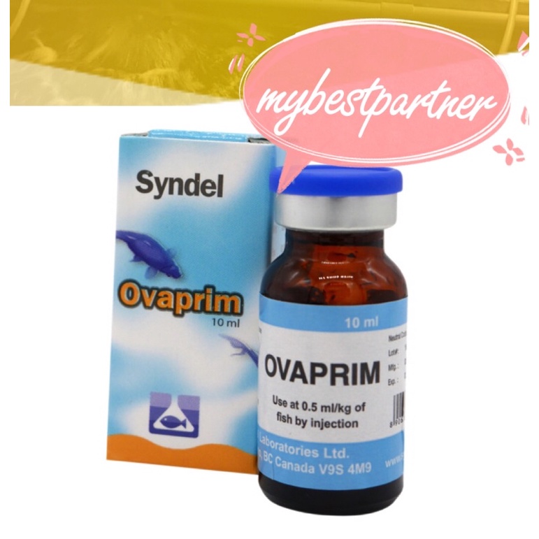 Ovaprim Syndel 10ml for Fish Breeding utk pembiakan ikan Keli Carp dll ...