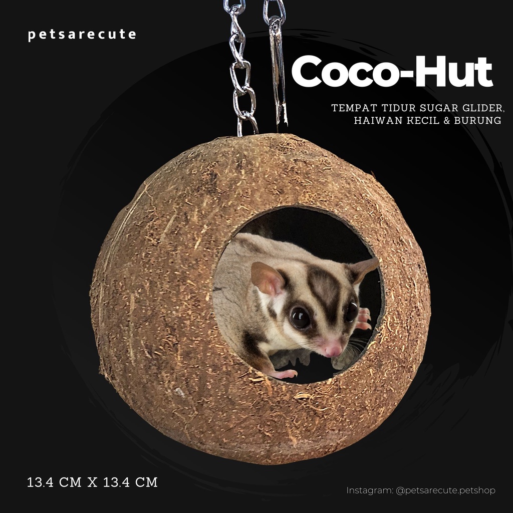 [PETSARECUTE] • COCO HUT FOR SMALL PET SUGAR GLIDER AND BIRDS | RUMAH ...