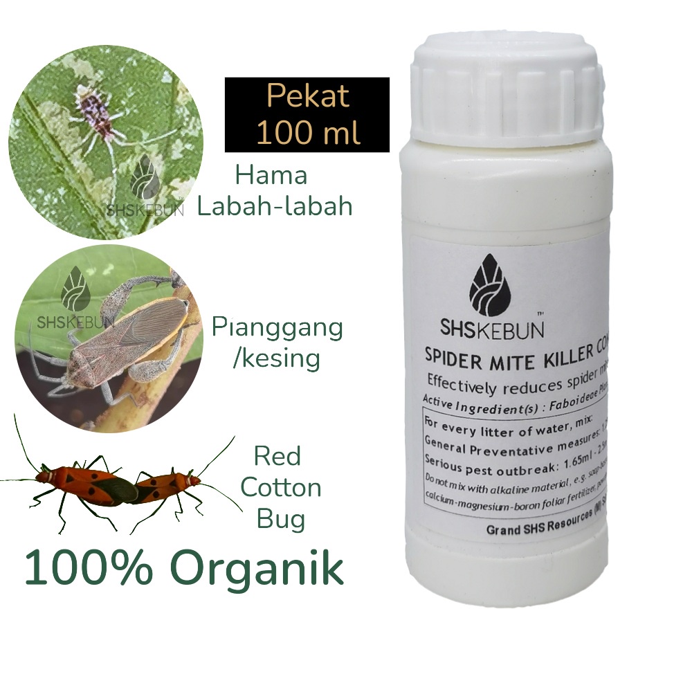 Organic Spider Mite Killer Concentrate 100 ml 200 ml Racun Organik Hama ...