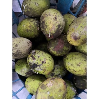 Buy buah Online With Best Price, Jul 2024 | Shopee Malaysia