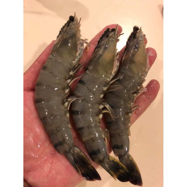 FRESH FROZEN TIGER PRAWNS “L” BIG SIZE 270-280gm per pack ( 10 pcs ...