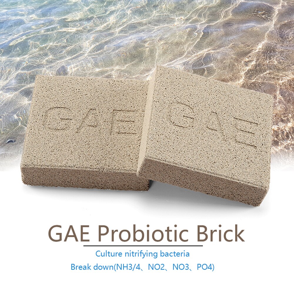 GAE Bio Bacteria Brick Fresh and Sea Water Tank Remove NO3 Energy ...