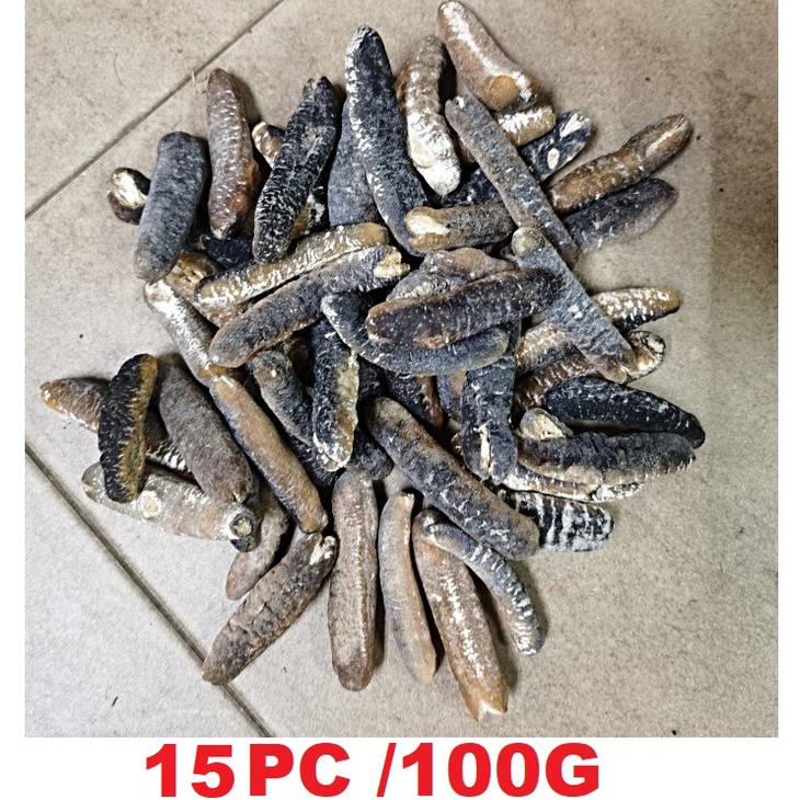 America Medium Thick Sea Cucumber 100g 金山中只厚秃参 gamat, Australia sea ...