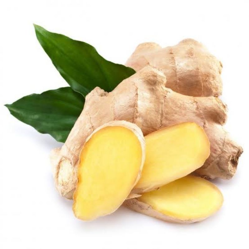 Fresh Elephant Ginger 1kg | Shopee Malaysia