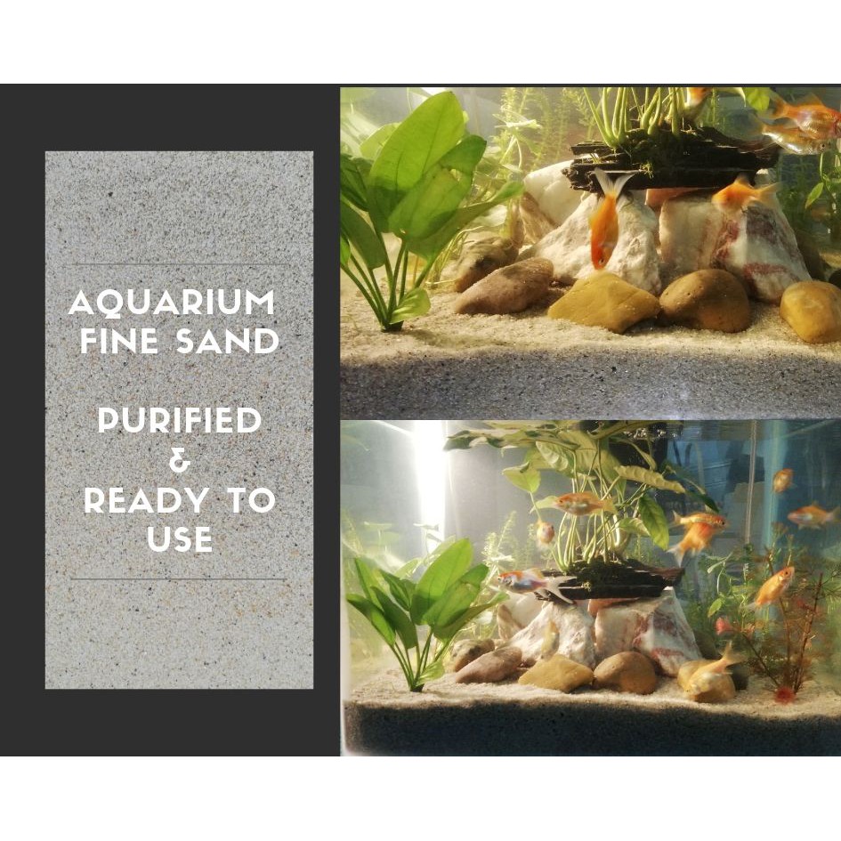 Aquatic Aquarium Fine Sand (1KG) | Shopee Malaysia
