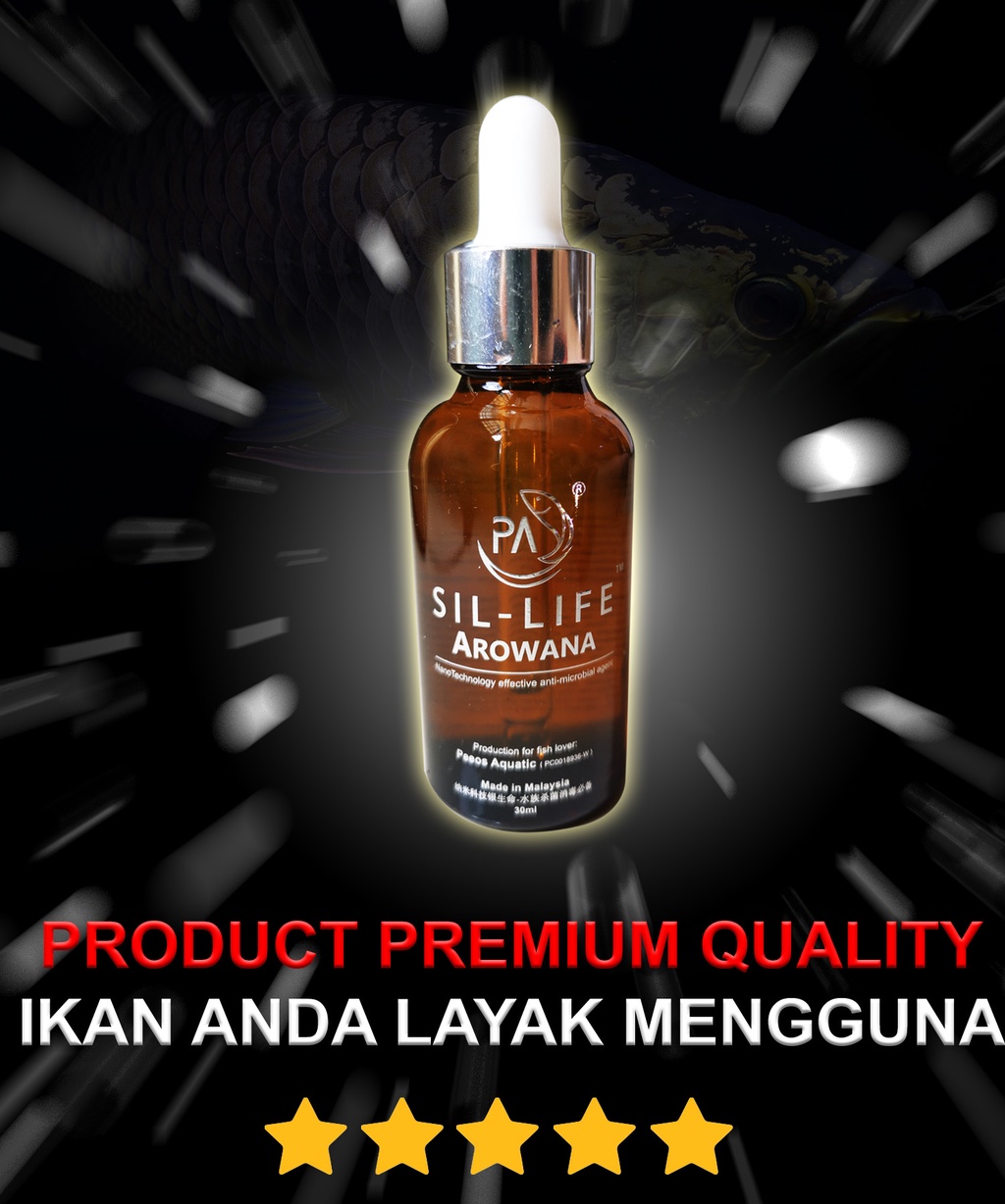 PA Sil Life Arowana aquarium Ikan kelisa goldfish lobster Dropsy Velvet ...