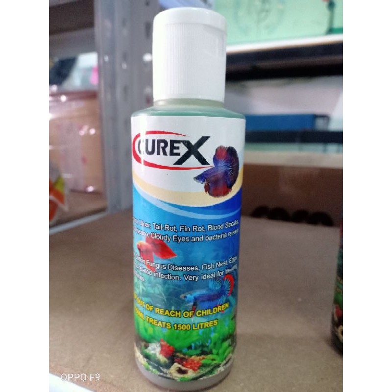 CURE X External Cure For Guppy/Betta 150ml | Shopee Malaysia