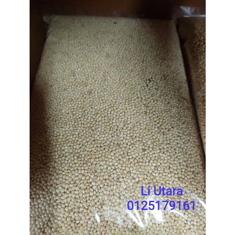 SAMBAU PUTIH DAN MERAH DAN CAMPUR WHITE MILLET /SEKOI / UTARA MALAYSIA ...