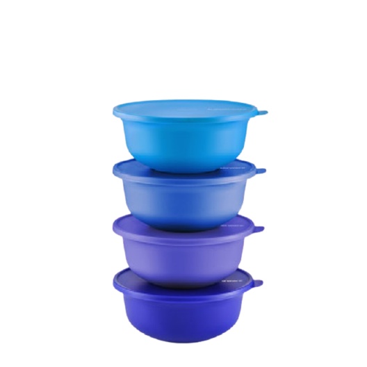 Tupperware Aloha Bowls Set – 2L (4 pc) | Shopee Malaysia