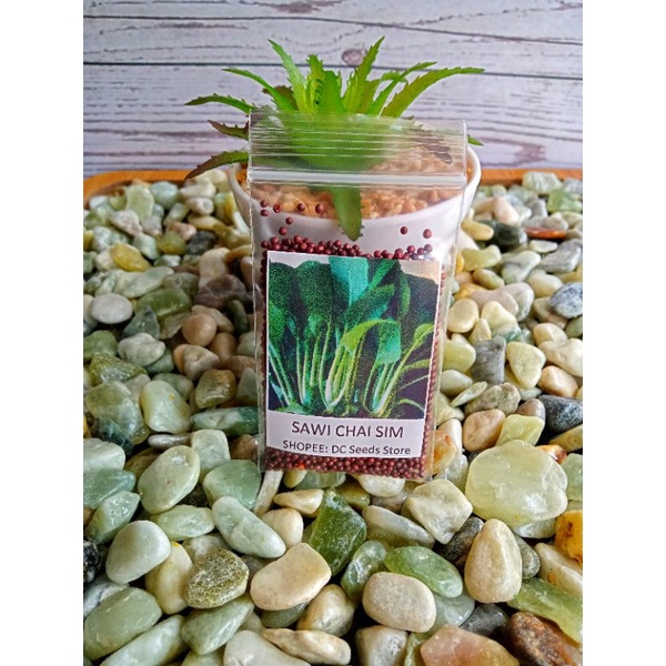 Biji Benih: Sawi Chai Sim/Sawi Hijau | Shopee Malaysia
