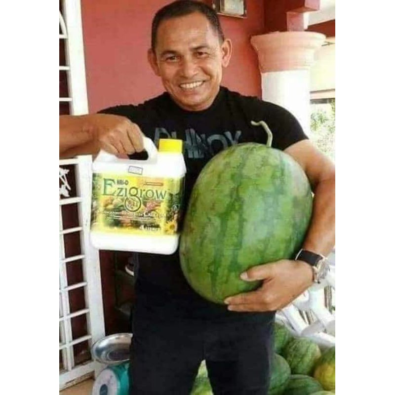 EZI GROW BAJA FOLIAR ORGANIK ORIGINAL 4L | Shopee Malaysia