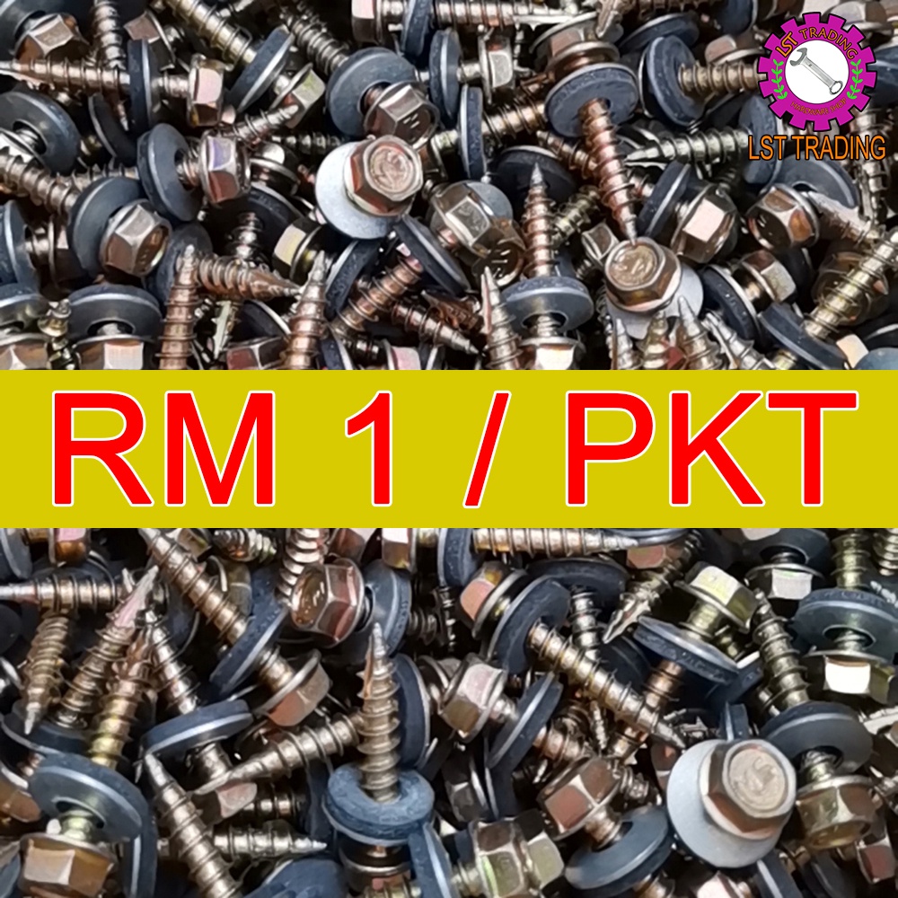 [READY STOCKS] HEX HEAD SELF TAPPING SCREW (RM 1) / SKREW KEPALA LAPAN ...