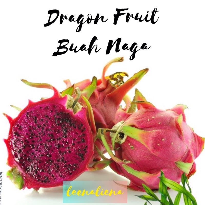 BUAH NAGA ISI MERAH/RED DRAGON FRUIT GRED A 1 KG | Shopee Malaysia