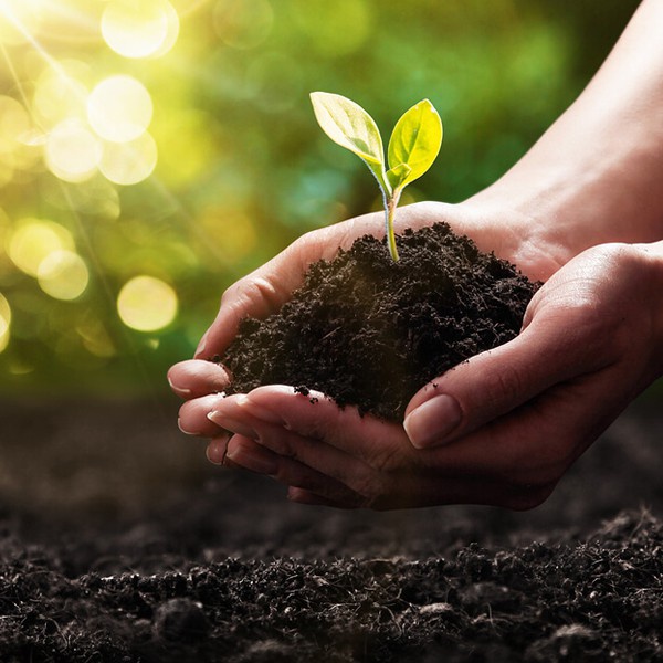 BLS Seedling Soil 3 Liter Tanah Semaian Gardening Planting Soil ...