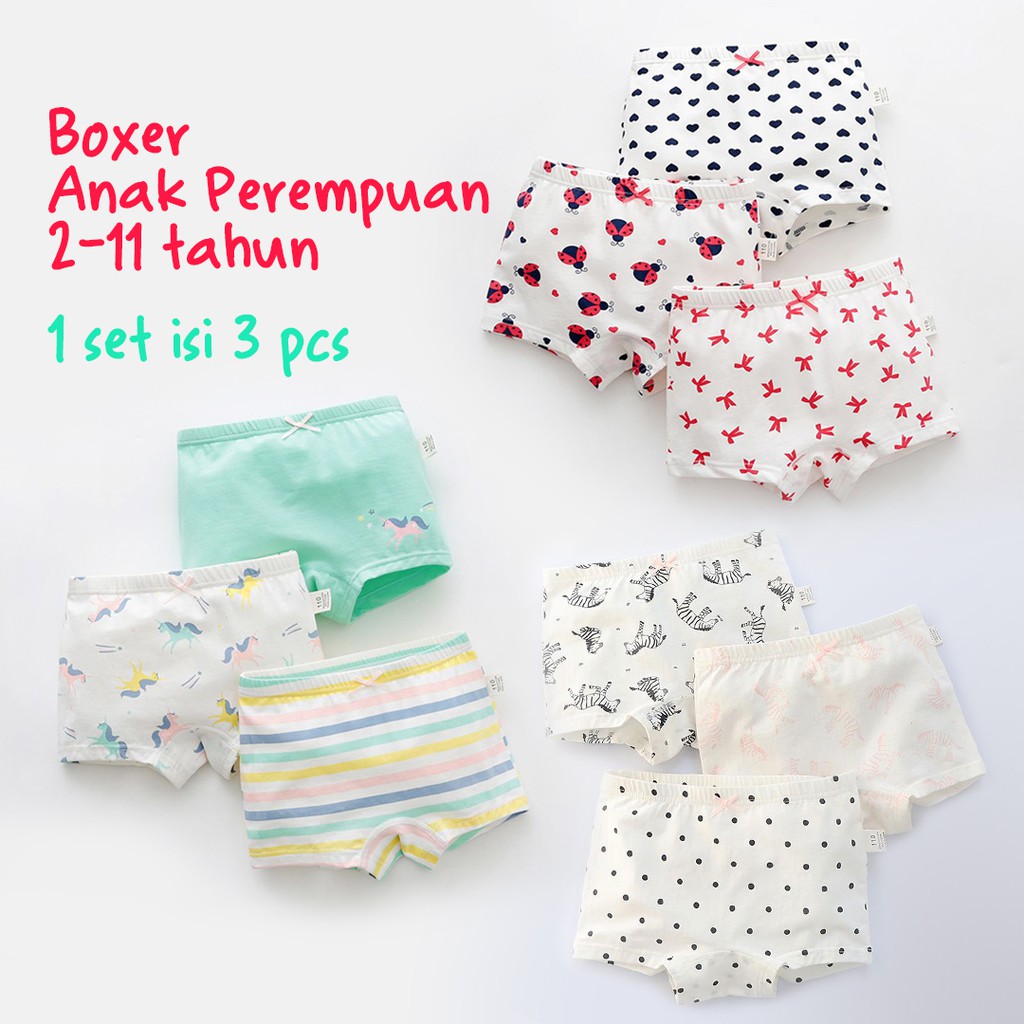Women'S BOXER / Pants In Women / GIRL BOXER (3 PCS / SET) | Shopee Malaysia