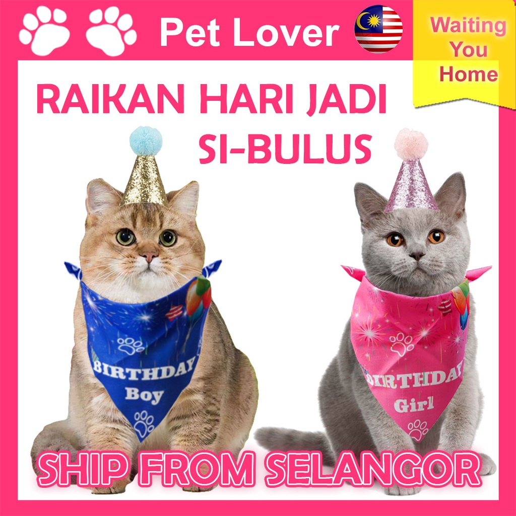 PETLOVER Cats Birthday Hat Topi Hari Jadi Kucing Cat Pet Birthday Hat ...