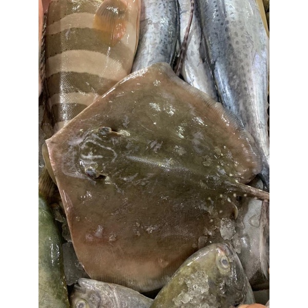 Stingray Fish Meat/Daging Ikan Pari | Shopee Malaysia