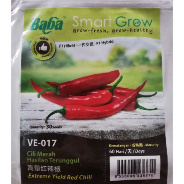 F1 hybrid seed vegetables ( Cili Besar) | Shopee Malaysia