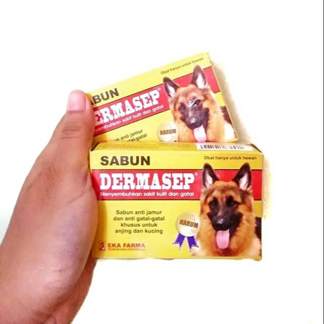 Dermasep Sulfur Soap anti-itch, parasites and skin fungus for dogs and ...
