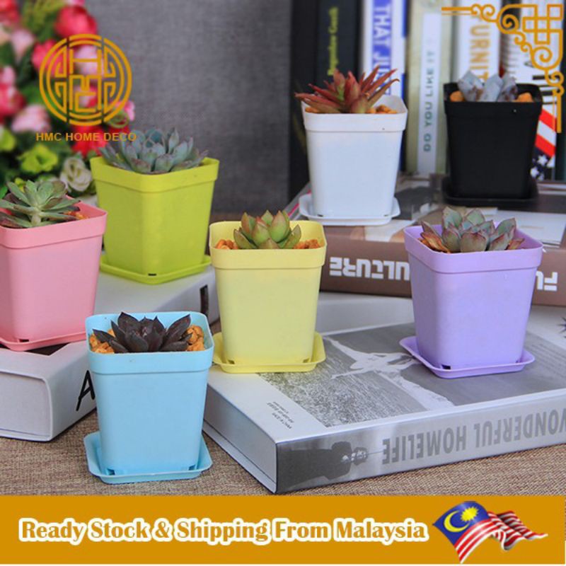 G1003 Ready stocks COLORFUL SUCCULENT CACTUS MINI SQUARE PLASTIC POT ...