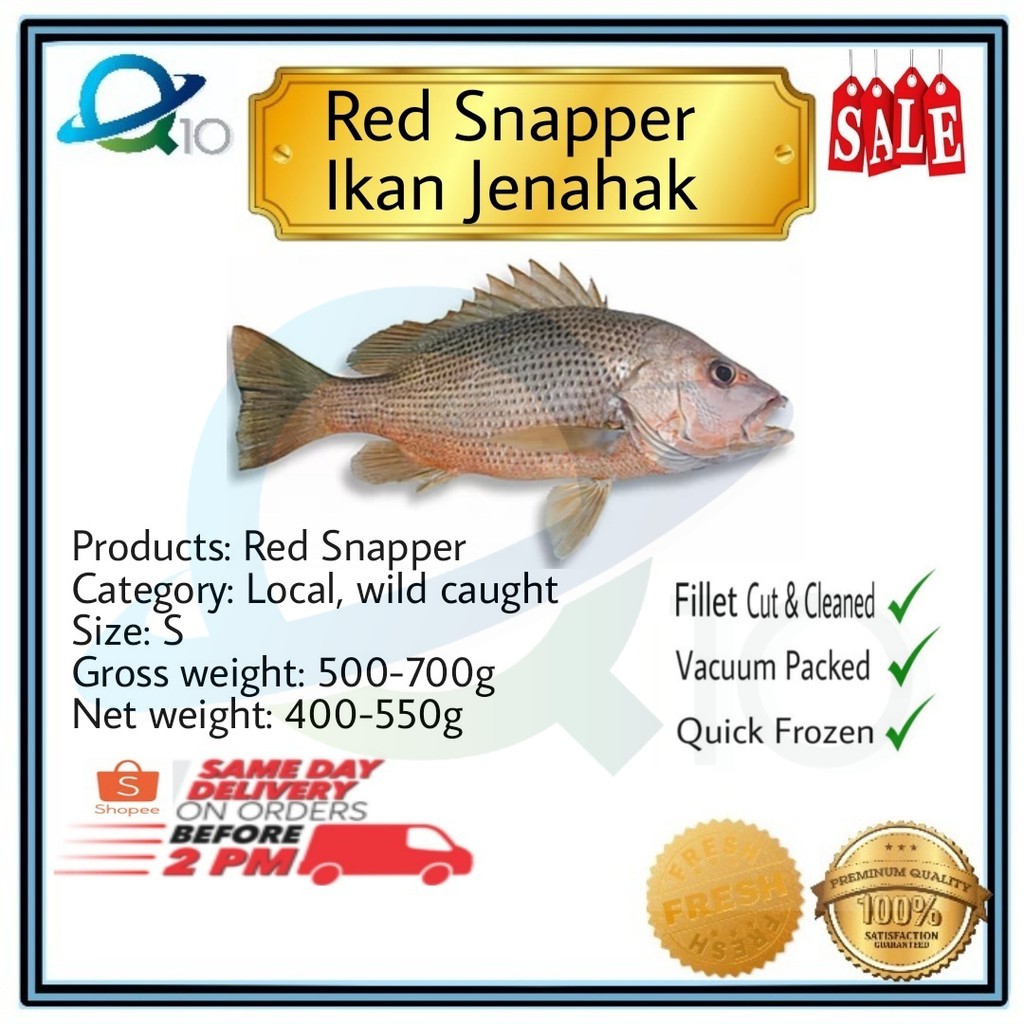 Ikan Jenahak / Golden Snapper Fish / 红枣鱼 | Shopee Malaysia