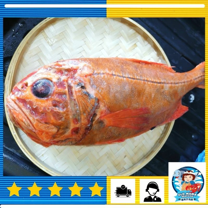 New Zealand Orange Roughy Fish / 纽西兰深海长寿鱼 (1.25-1.5kg/nos) Ikan Oren ...