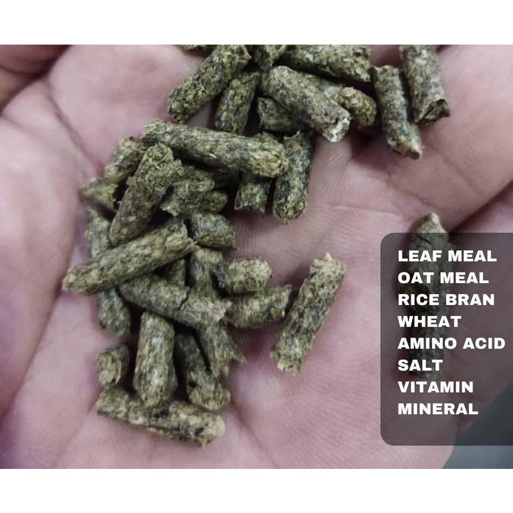 HIGH nutrition ARNAB RABBIT Food Pellet Bunny Food Pellet Rabbit Pellet ...