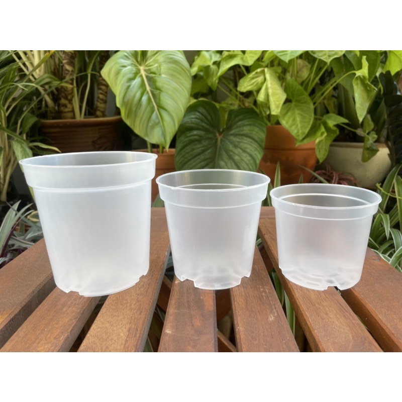 Transparent Clear Plastic Plant Pot 9cm/10cm/11cm | Shopee Malaysia