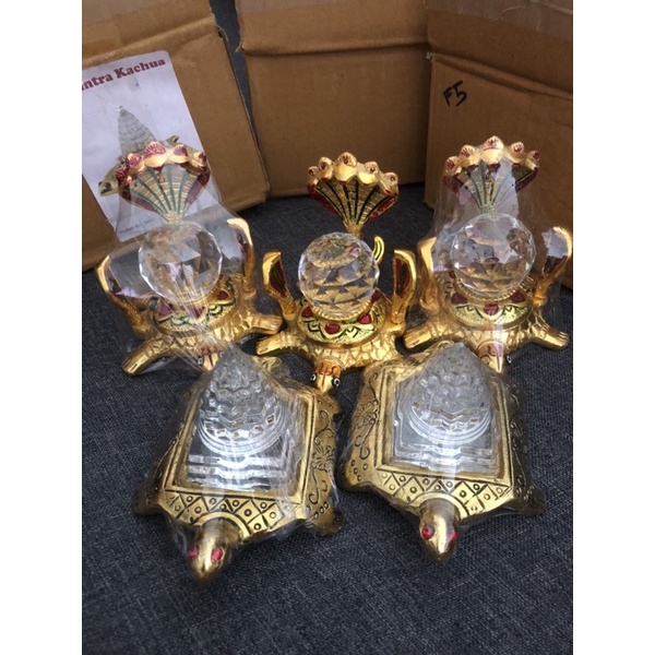 Shashvata Crystal Naga Mani Kachua /Amai/Tortoise Yantra and Crystal ...