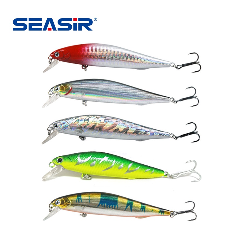 SEASIR Minnow Baubles Fishing Lure Meteor Long Throw Bait Sinking ...