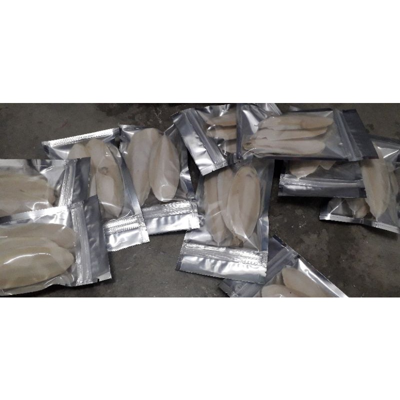 tulang sotong (cuttlebone) 6 keping.4 inch | Shopee Malaysia