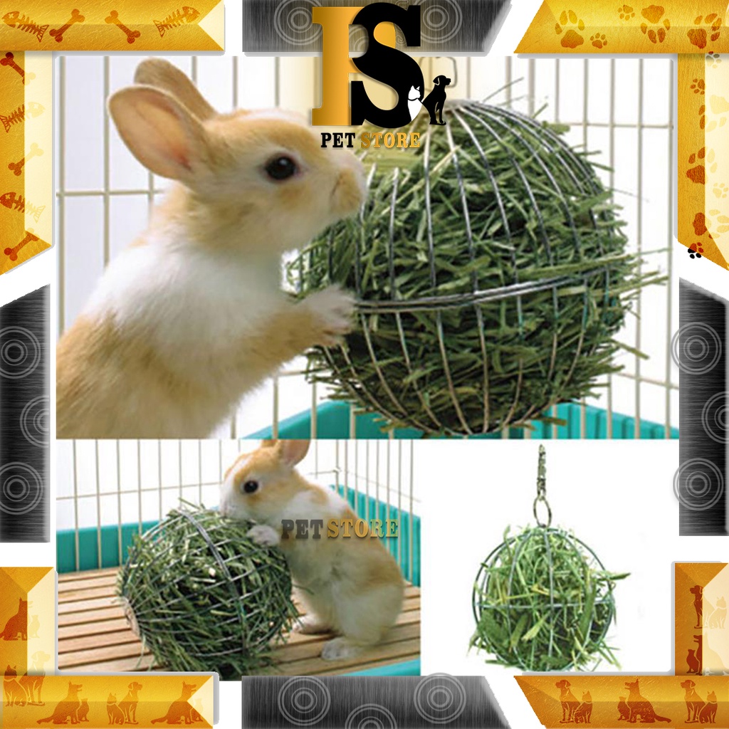 Sphere Feed Dispense Exercise Hanging Hay Ball Guinea Pig Hamster ...