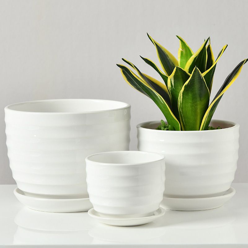 White Ceramic Vase 🌳 Pasu Seramik / Pasu Putih / Round Flower Pot ...