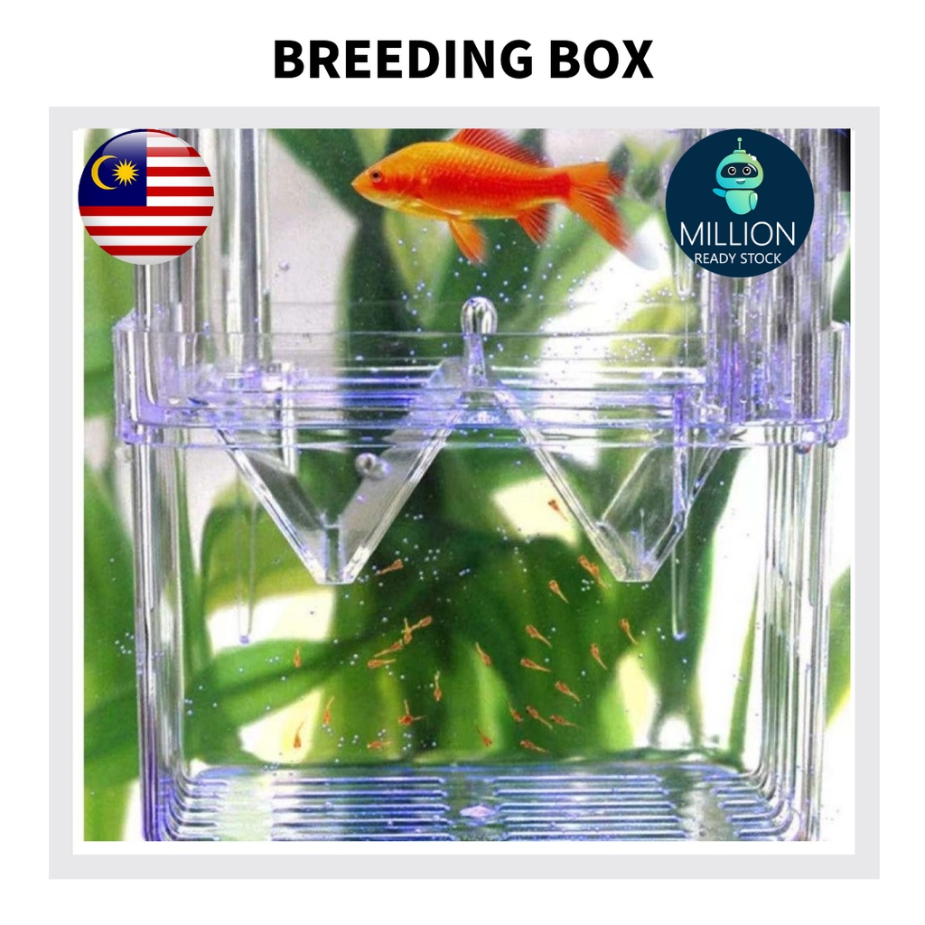 YEE Aquarium Double Layer Fish Isolation Breeding Hatching /🔥Ready ...